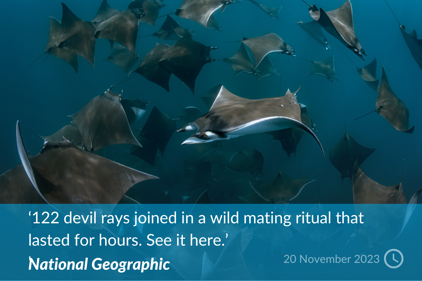 Manta Trust Research Portal