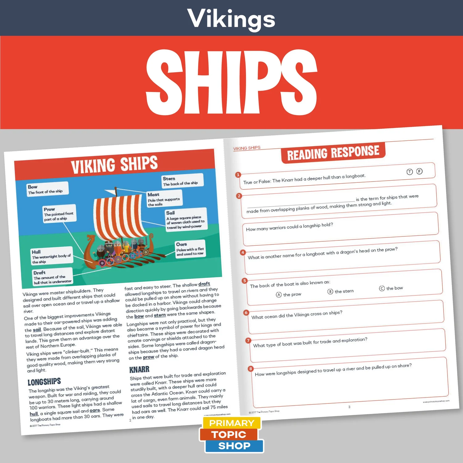 The Vikings — Primary Topic Shop