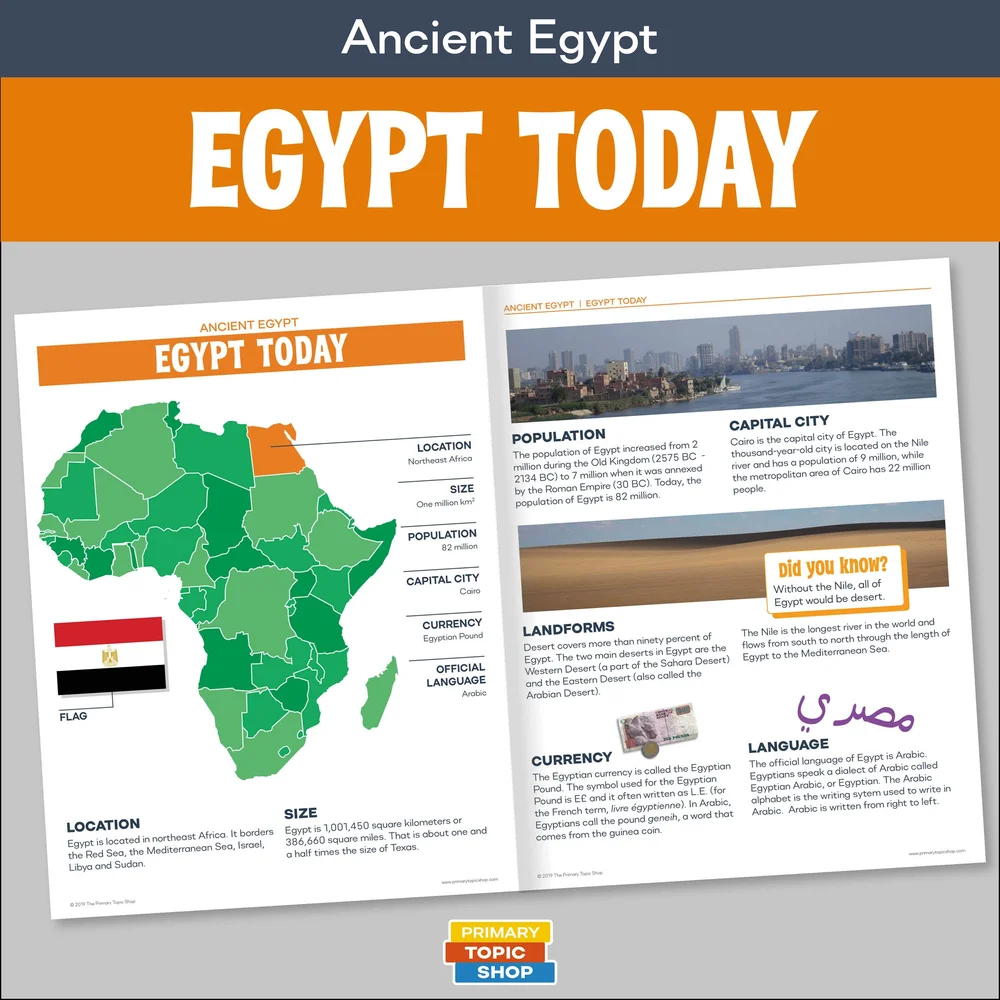 The Rosetta Stone — Primary Topic Shop