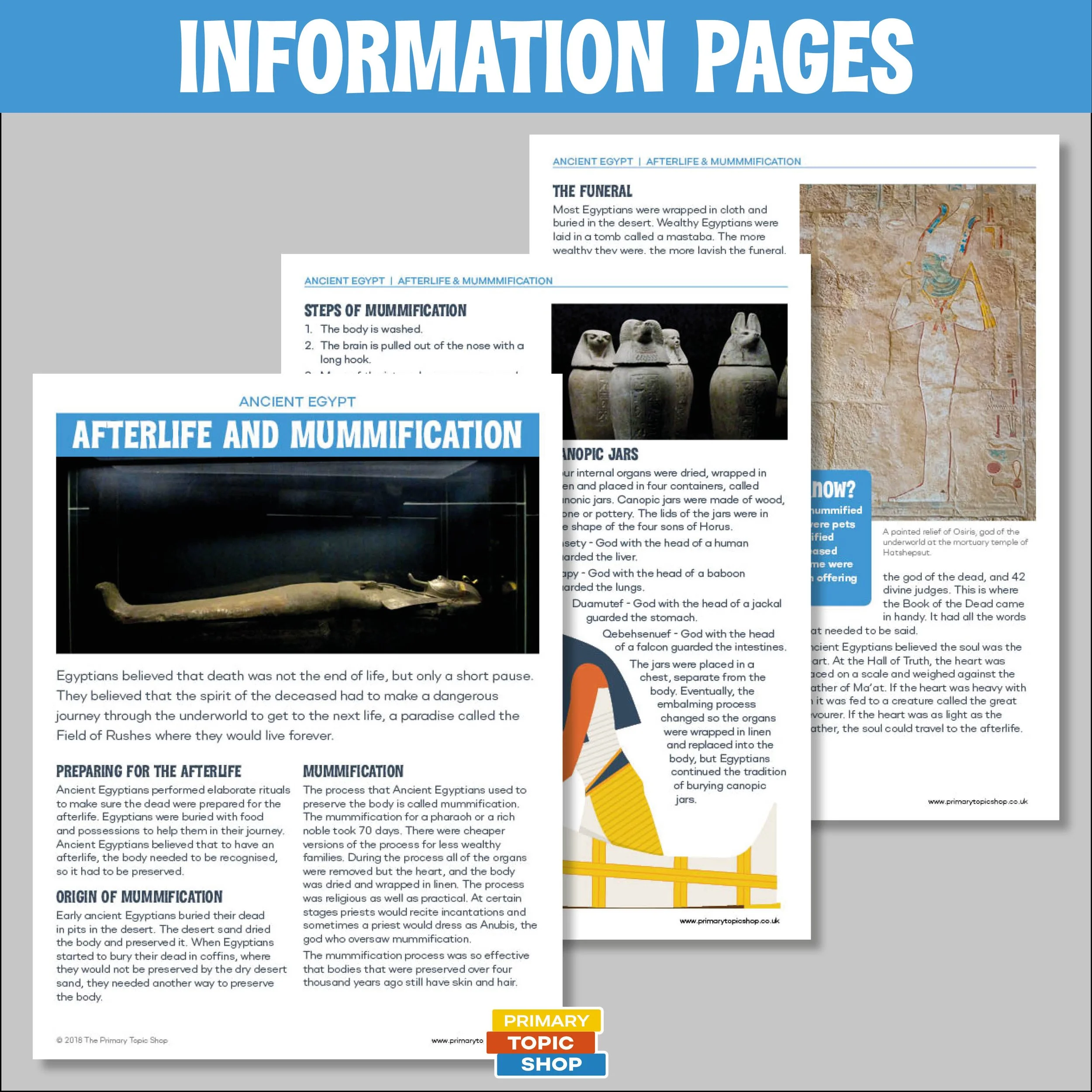 Ancient Egyptian Papyrus — Primary Topic Shop