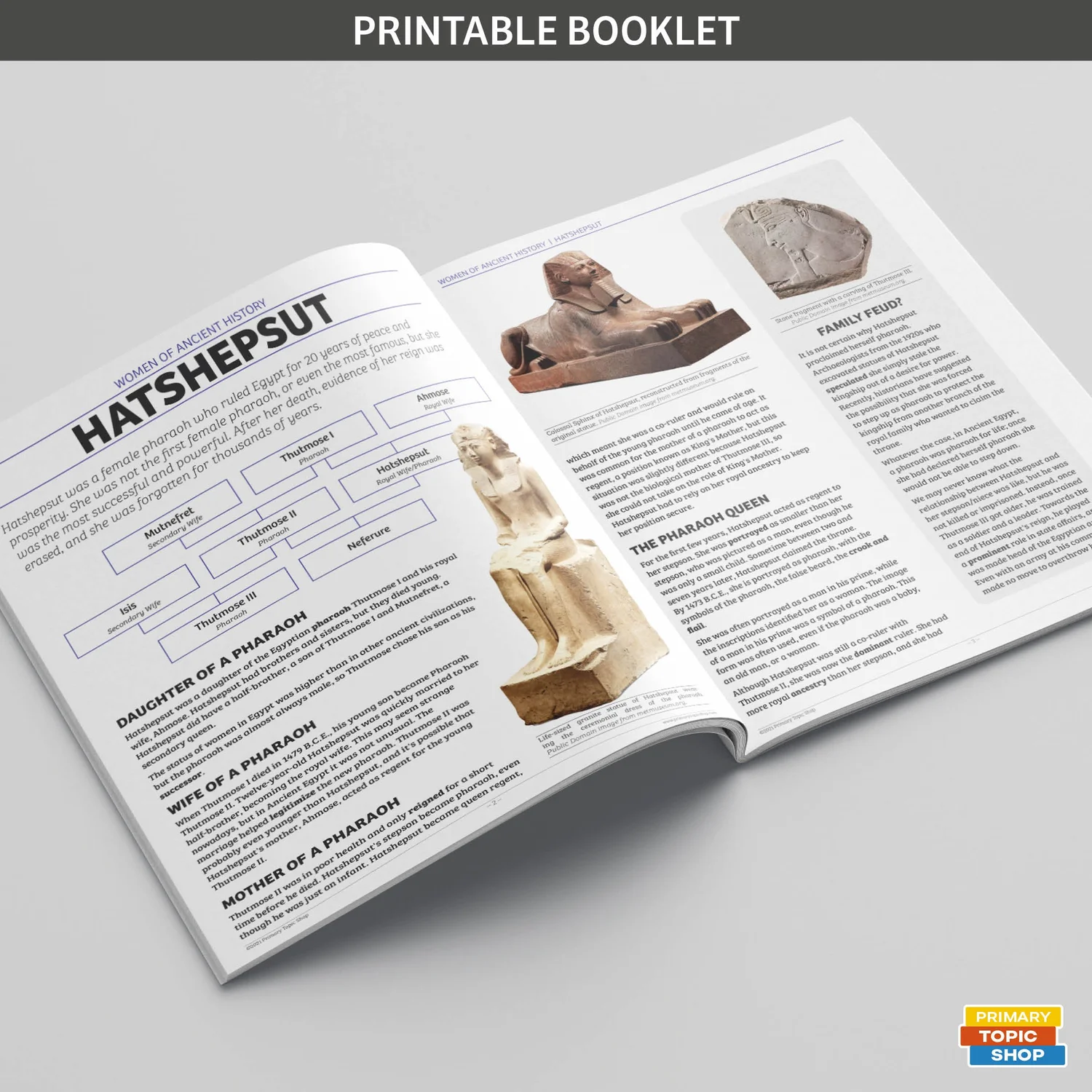 Ancient Egyptian Hieroglyphs — Primary Topic Shop