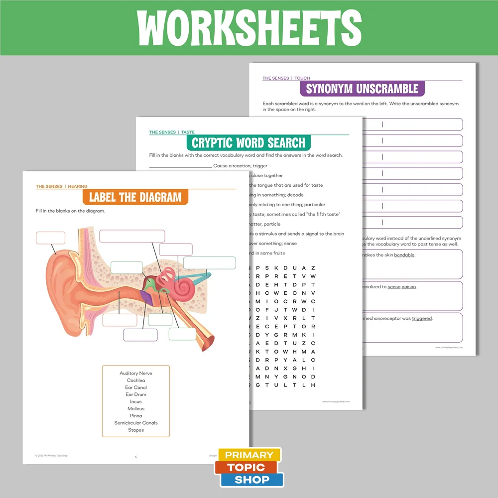 The Sense of Taste Teaching Resource — Primary Topic Shop
