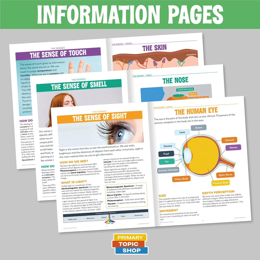 The Sense of Taste Teaching Resource — Primary Topic Shop