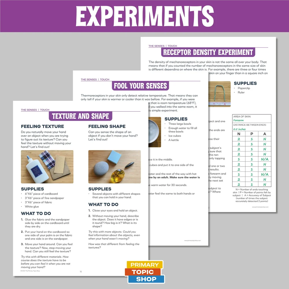 The Sense of Taste Teaching Resource — Primary Topic Shop