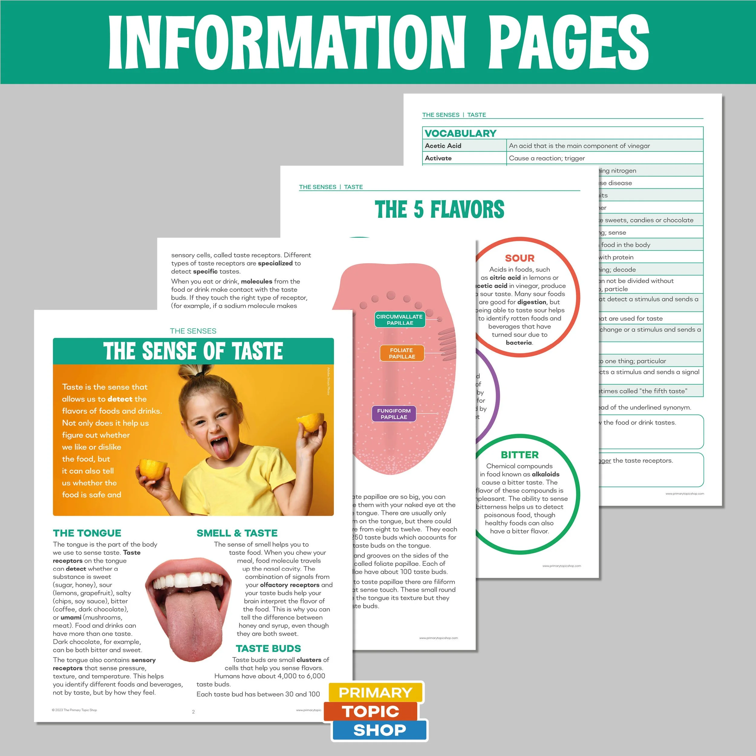 The Five Sense Resource Bundle for Grades 4-6 — Primary Topic Shop