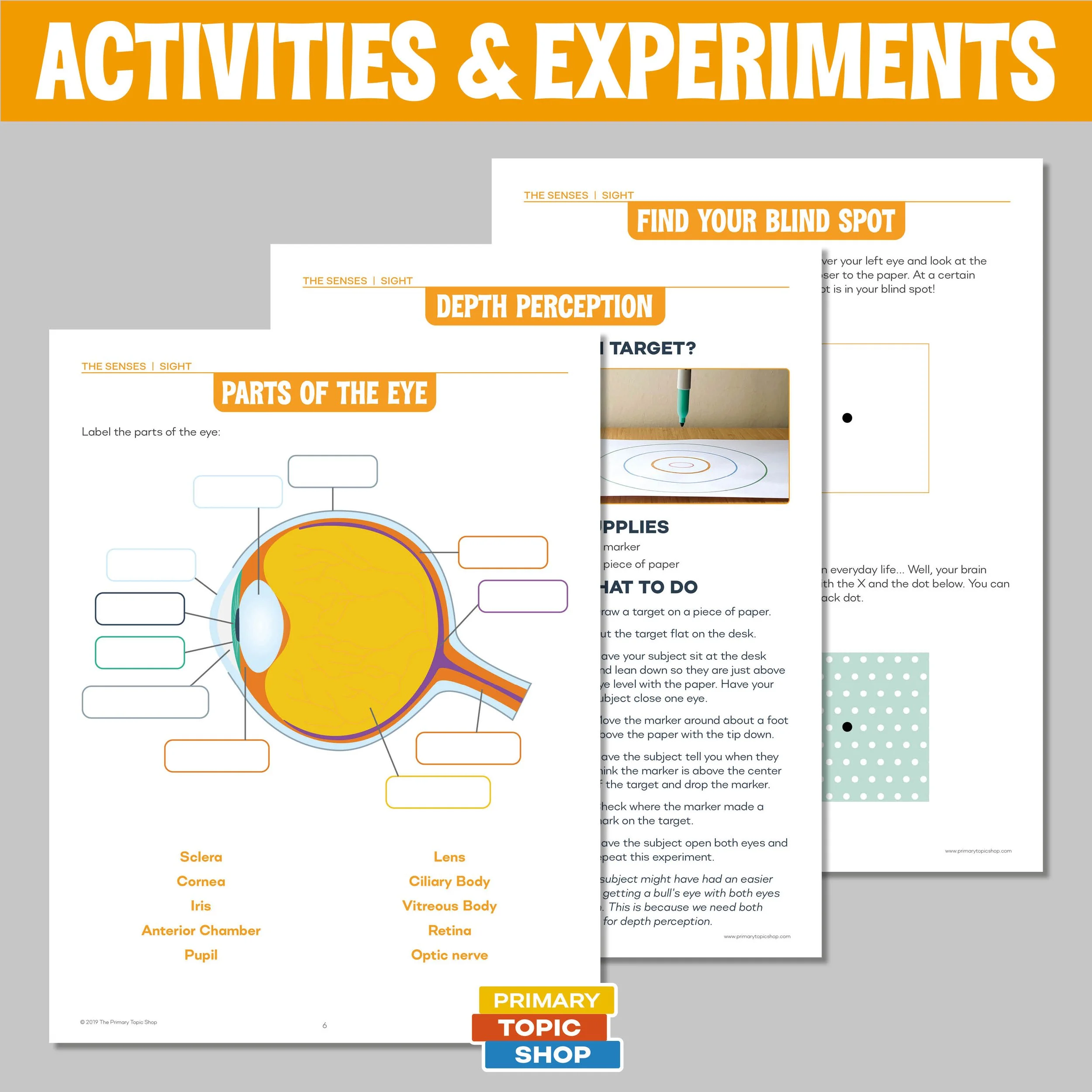 The Sense of Taste Teaching Resource — Primary Topic Shop