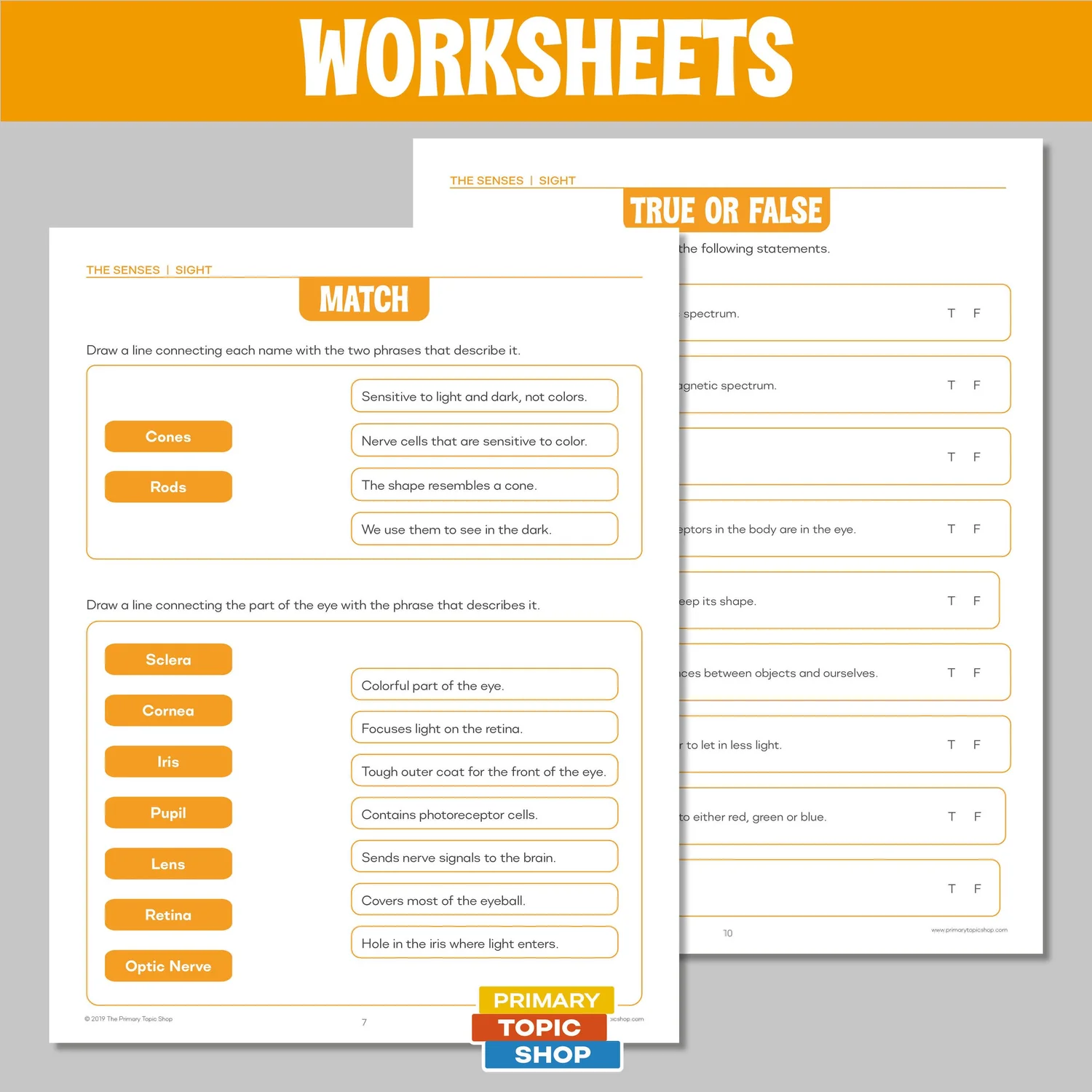 The Five Sense Resource Bundle for Grades 4-6 — Primary Topic Shop