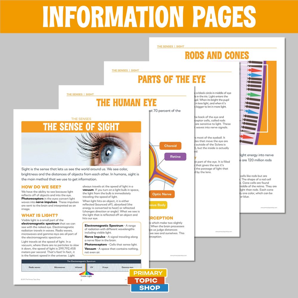 The Five Senses — All Resources | Explore Educational Treasures ...