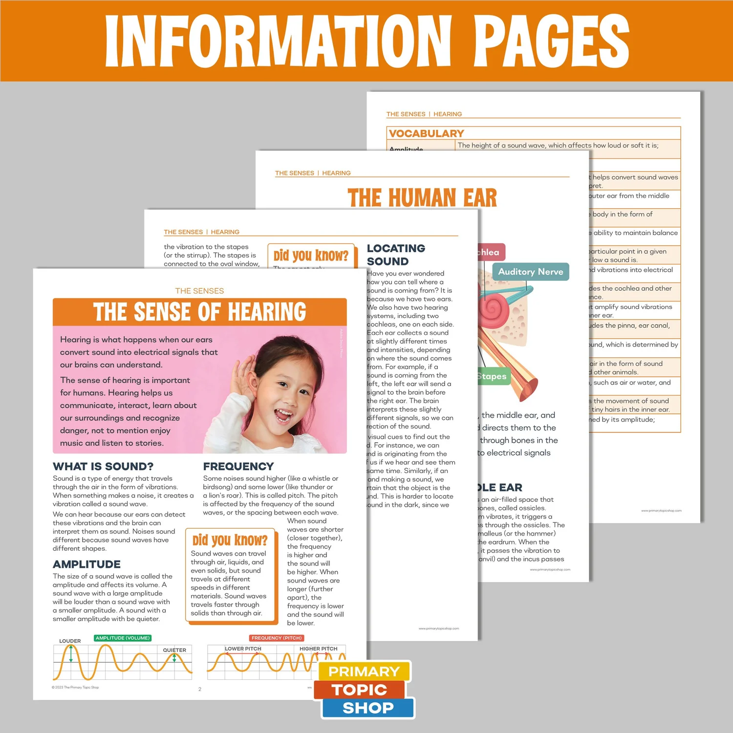 The Five Senses — All Resources | Explore Educational Treasures ...