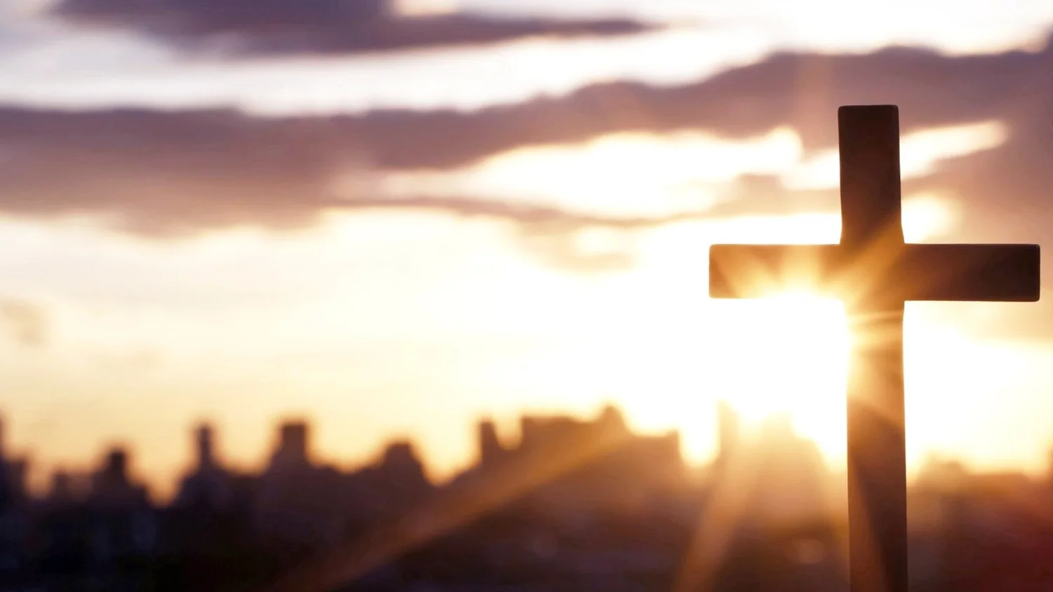 Clergy Intake Form — Alabama / Emerald Coast Conference
