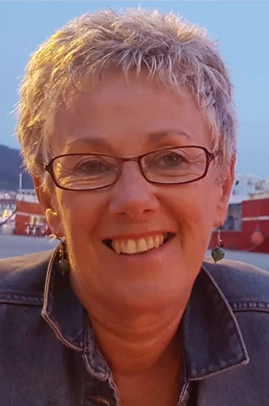 Sue Barrow - Author