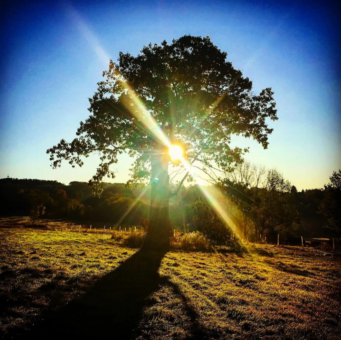 Rattle Making Ceremony — Drumdoula