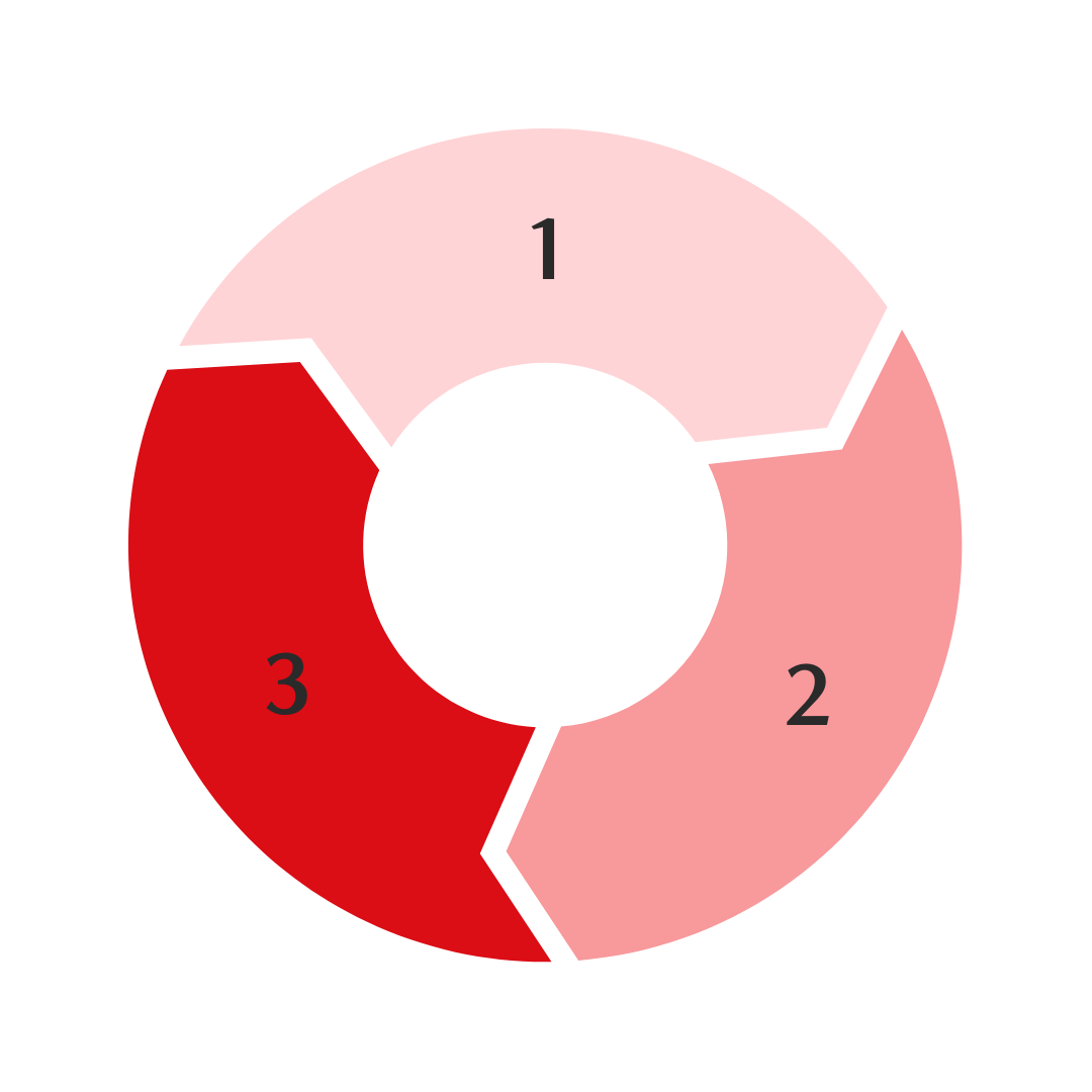 Focus Finder - Florence Schelling