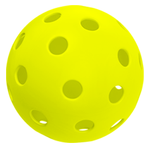 True Pickle Ball Club