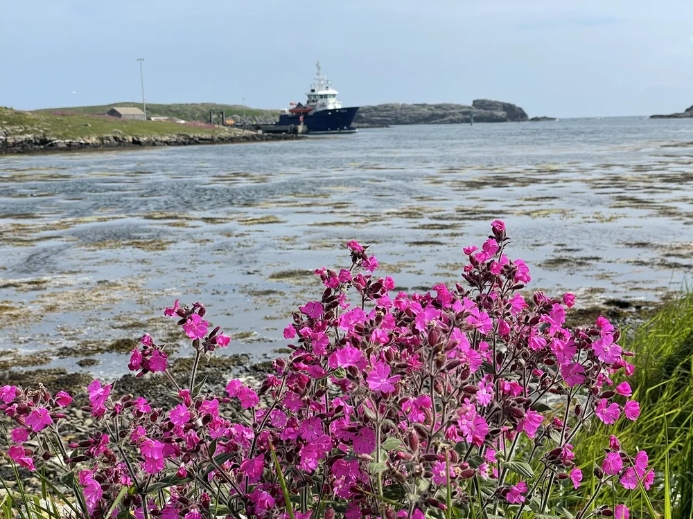 A day in Skerries — Shetland With Laurie