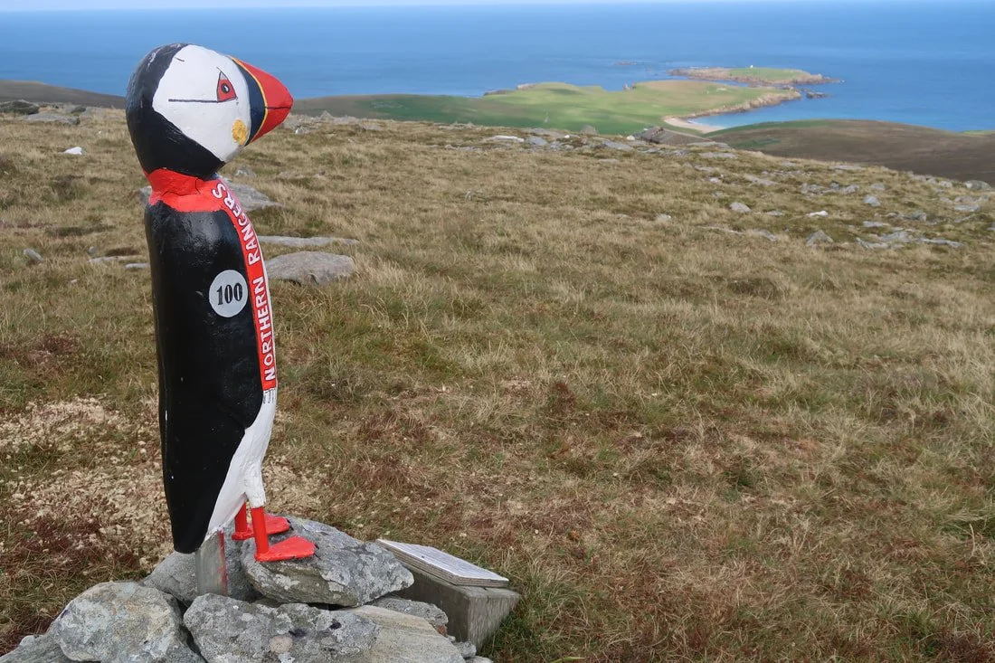 Where in Shetland do you find … — Shetland With Laurie