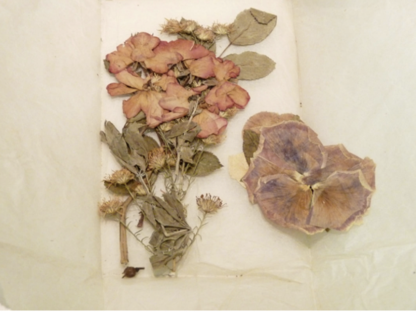 Private Karl Manson (1897-1917) — Shetland With Laurie