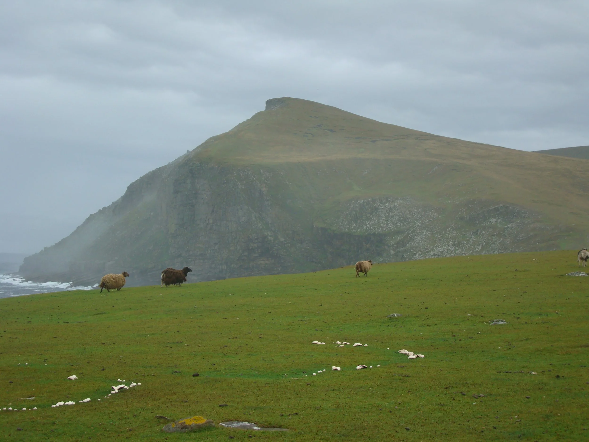 Foula’s Festive traditions & a guide to visiting — Shetland With Laurie