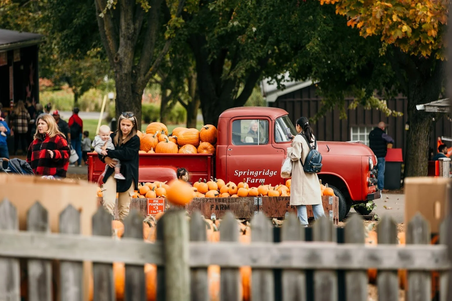 General 2 — NAFDMA Agritourism Farm Tour