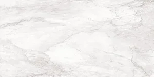 Daltile Panoramic Porcelain Collection