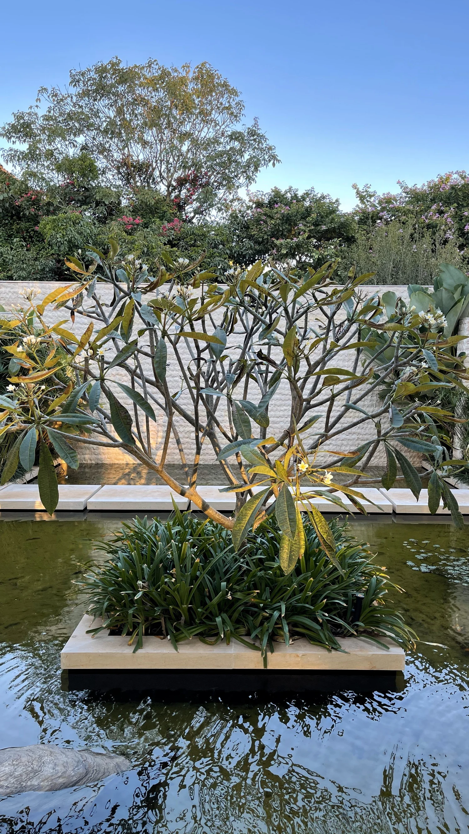 RESIDÊNCIA GGV - Porto Feliz, SP — Daniel Nunes