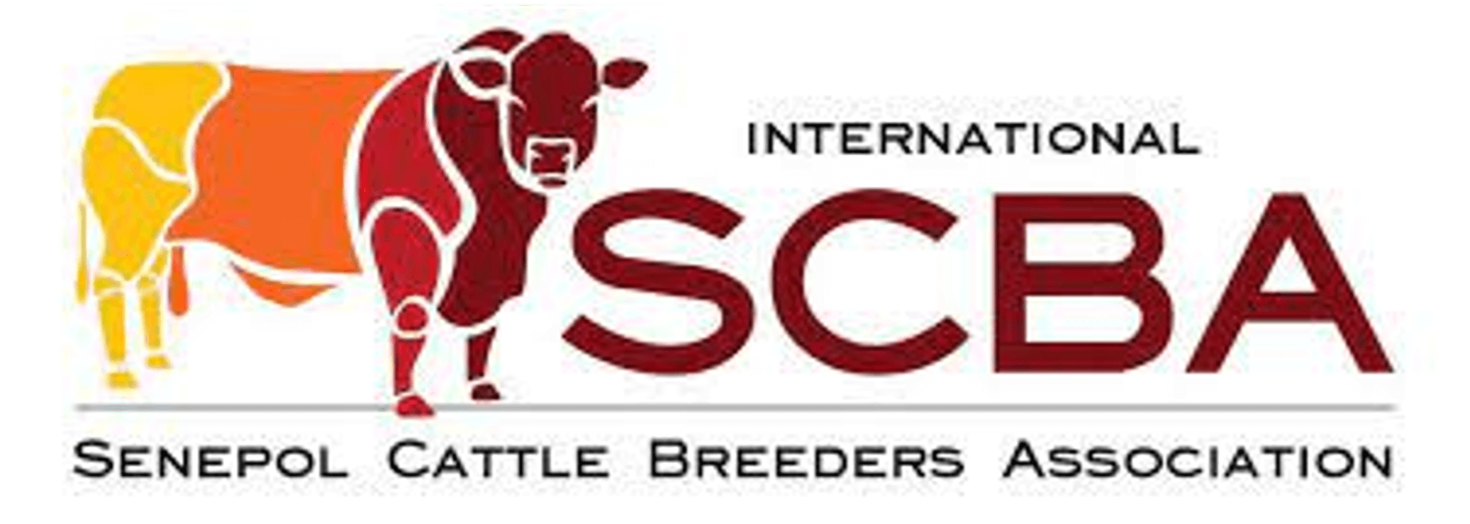 Customers — Inonde