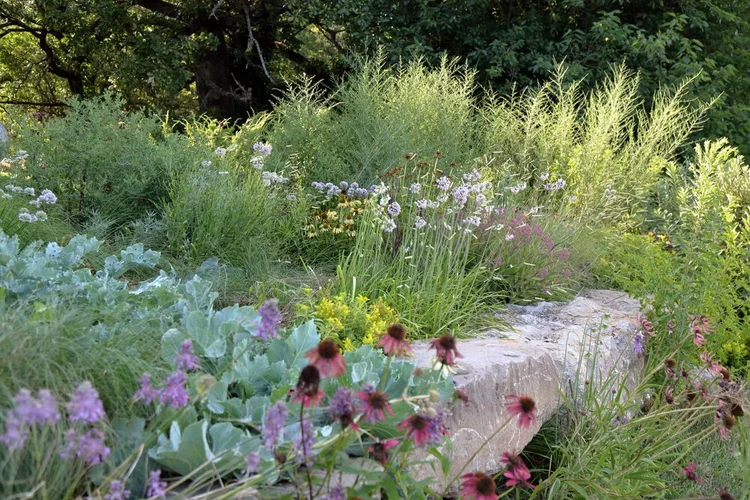 Gravel Garden at the Farm — Kelly D. Norris