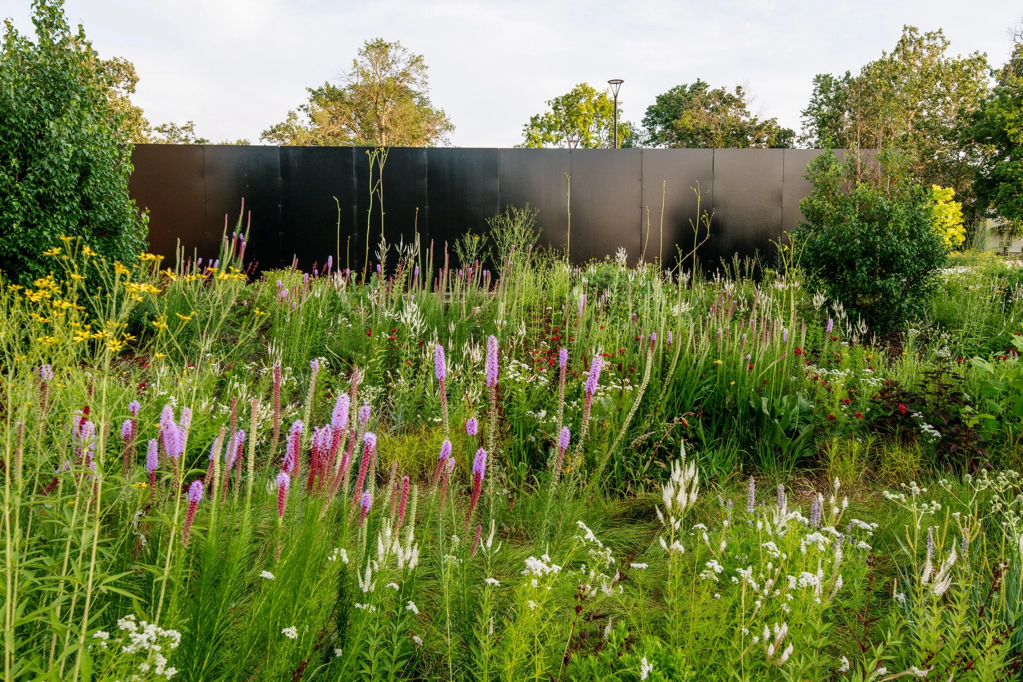 Harkin Institute — Kelly D. Norris