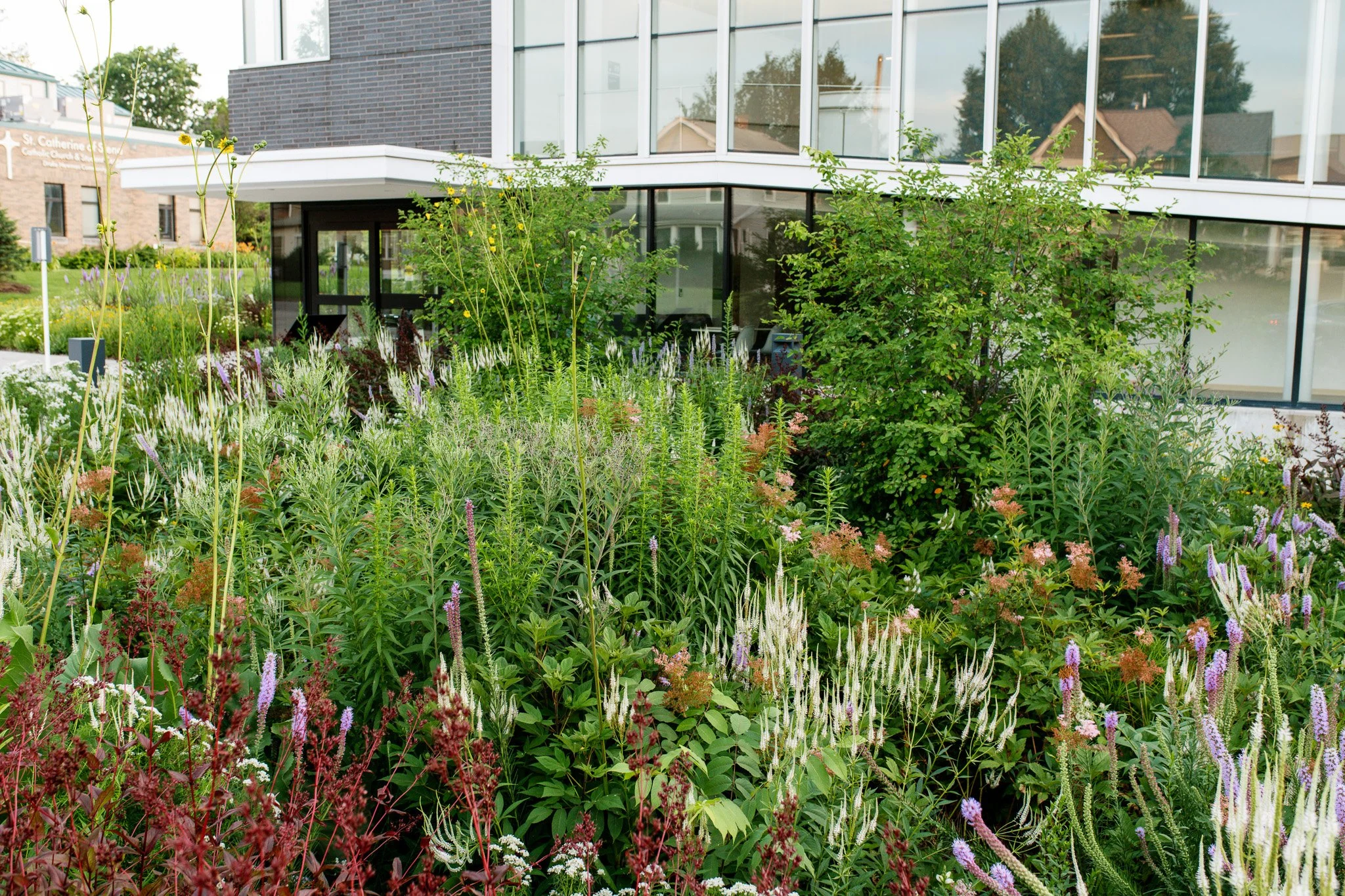 Harkin Institute — Kelly D. Norris