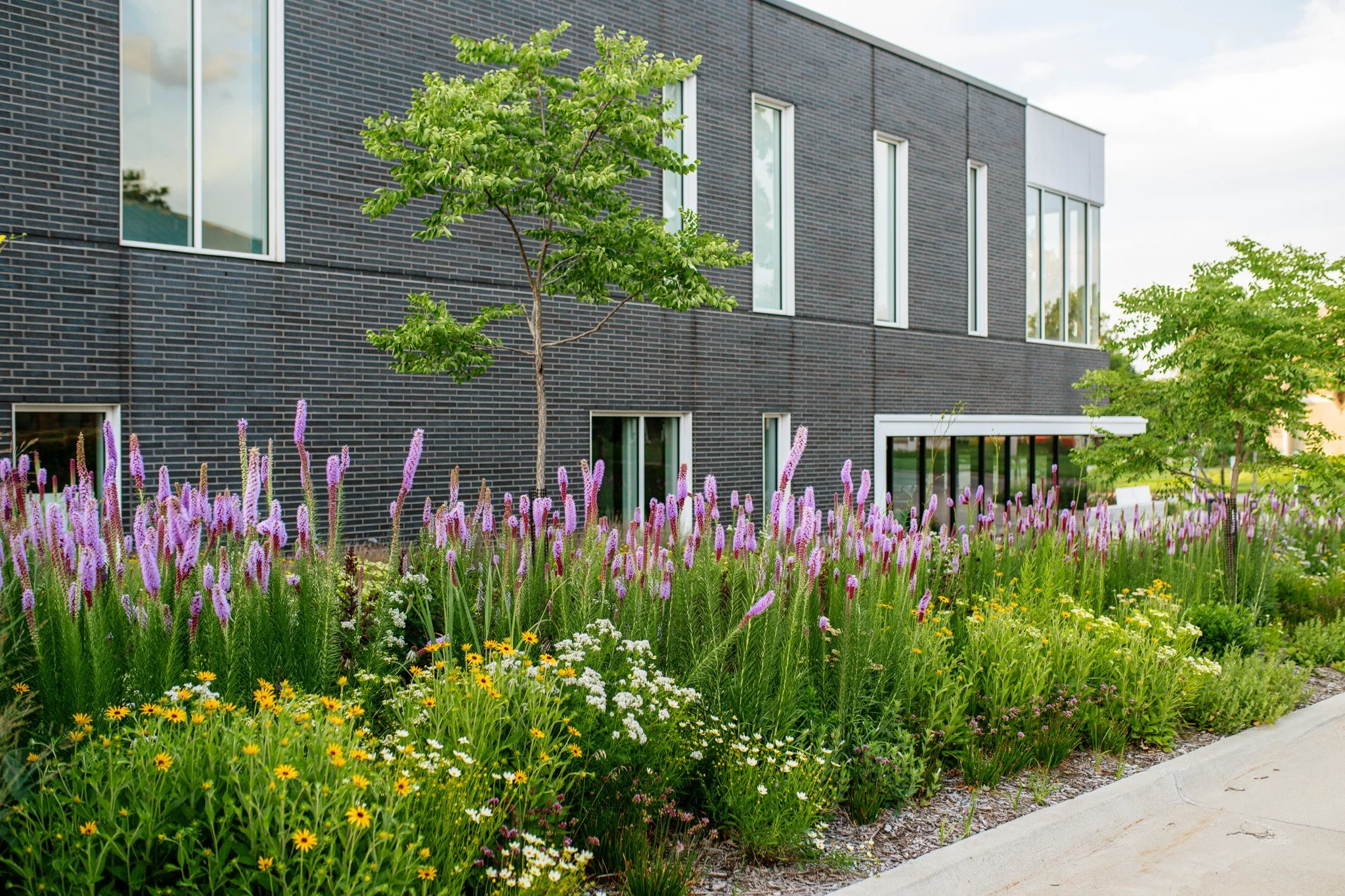 Harkin Institute — Kelly D. Norris