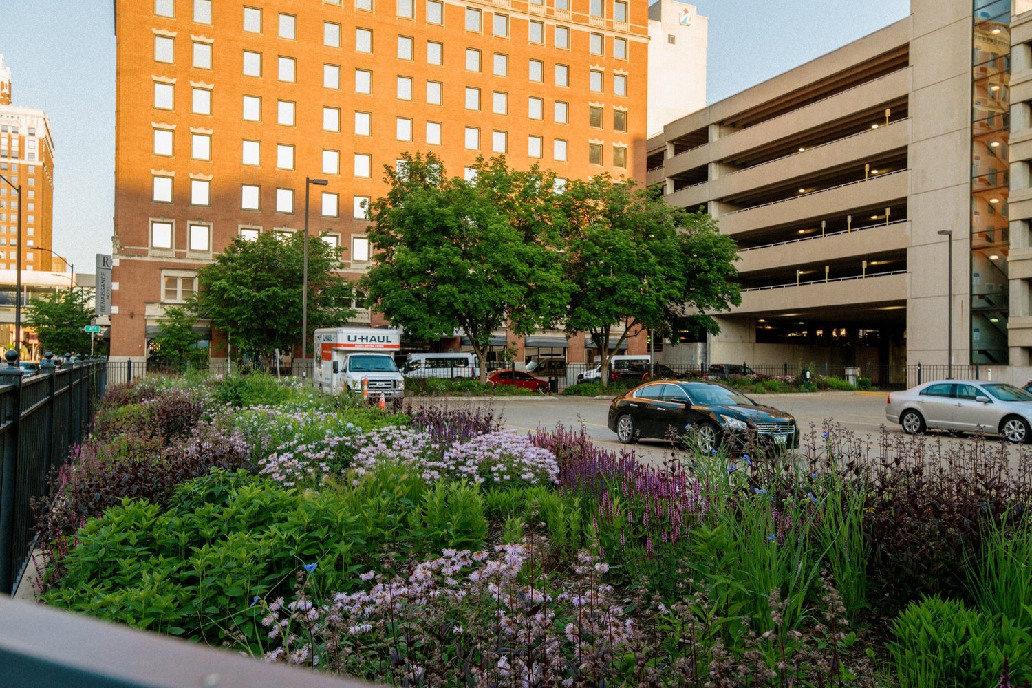 Cowles Commons — Kelly D. Norris