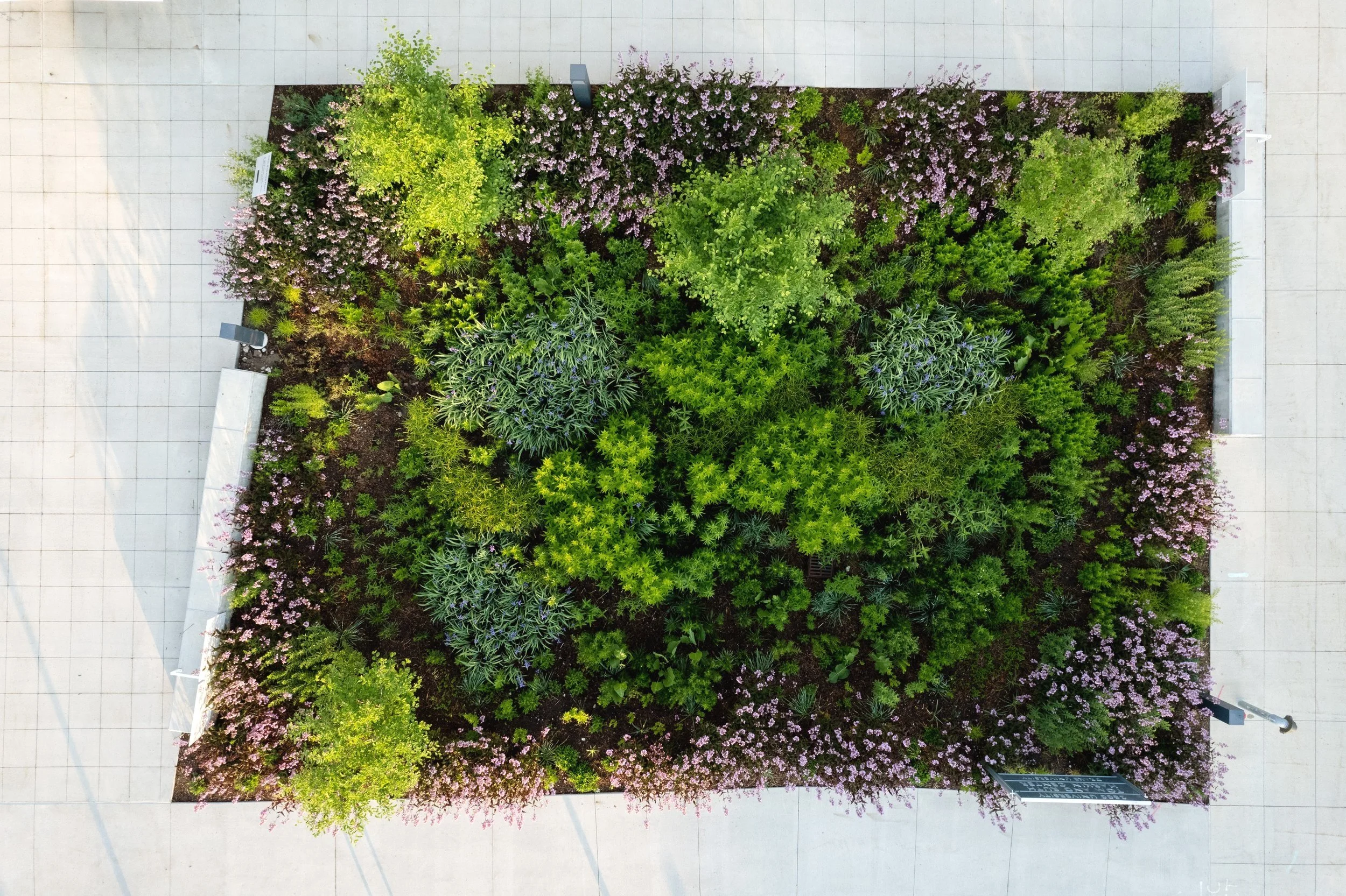 Harkin Institute — Kelly D. Norris