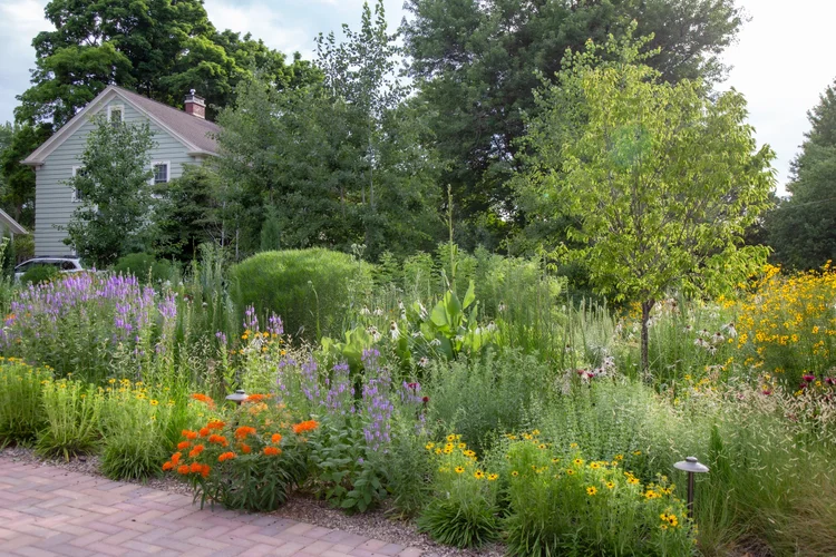 Landscaped Prairie — Kelly D. Norris