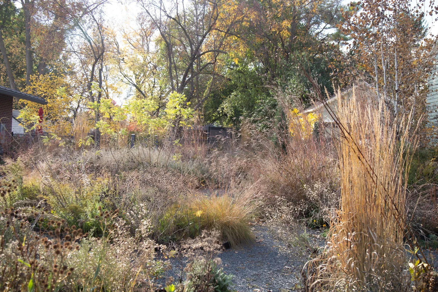 Landscaped Prairie — Kelly D. Norris