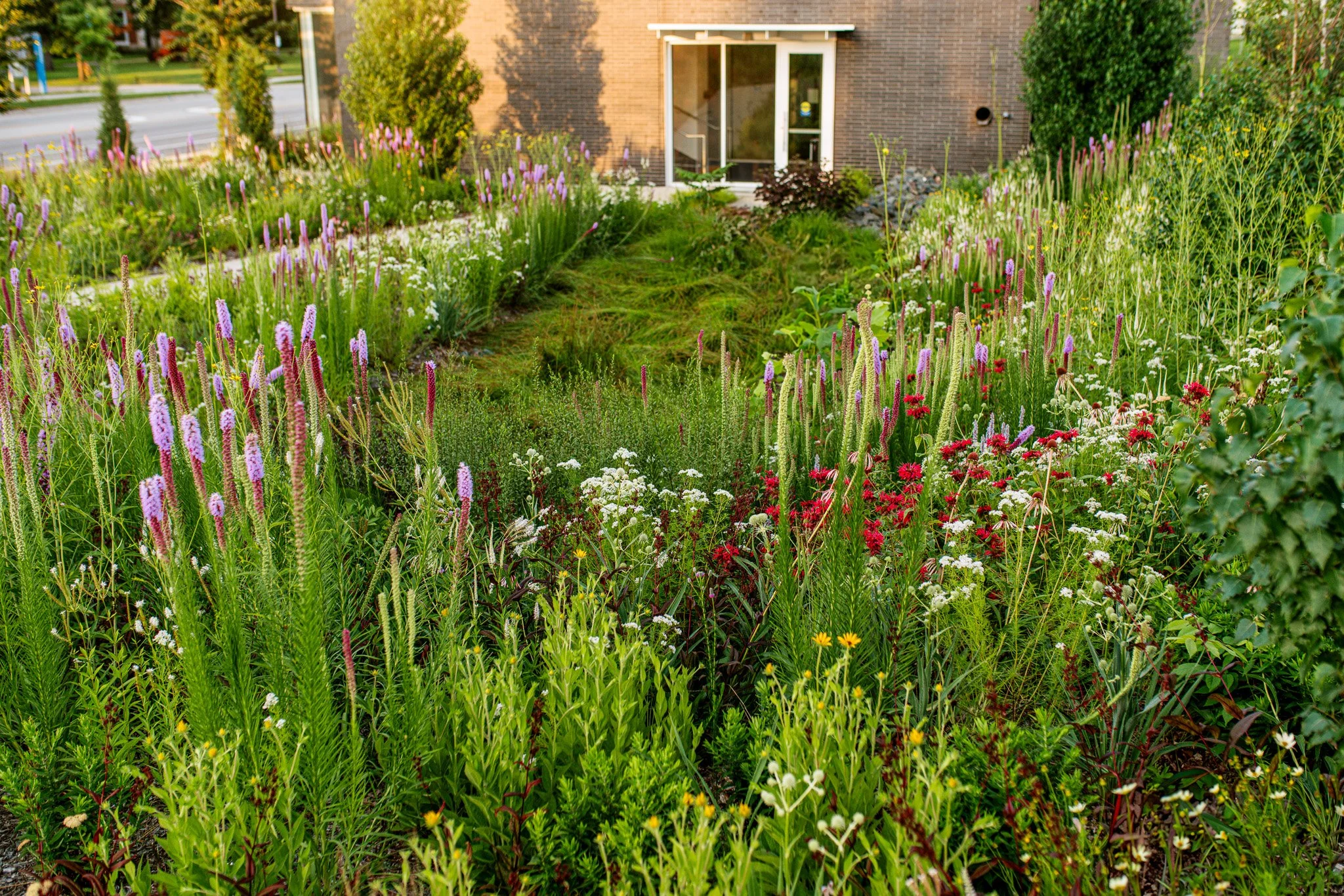 Harkin Institute — Kelly D. Norris