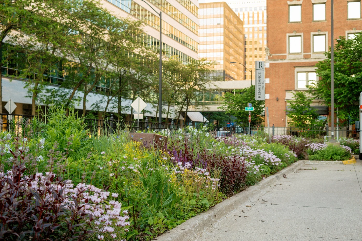 Cowles Commons — Kelly D. Norris