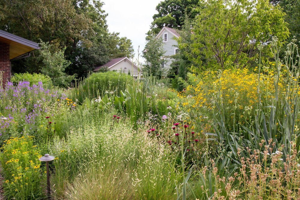 Landscaped Prairie — Kelly D. Norris