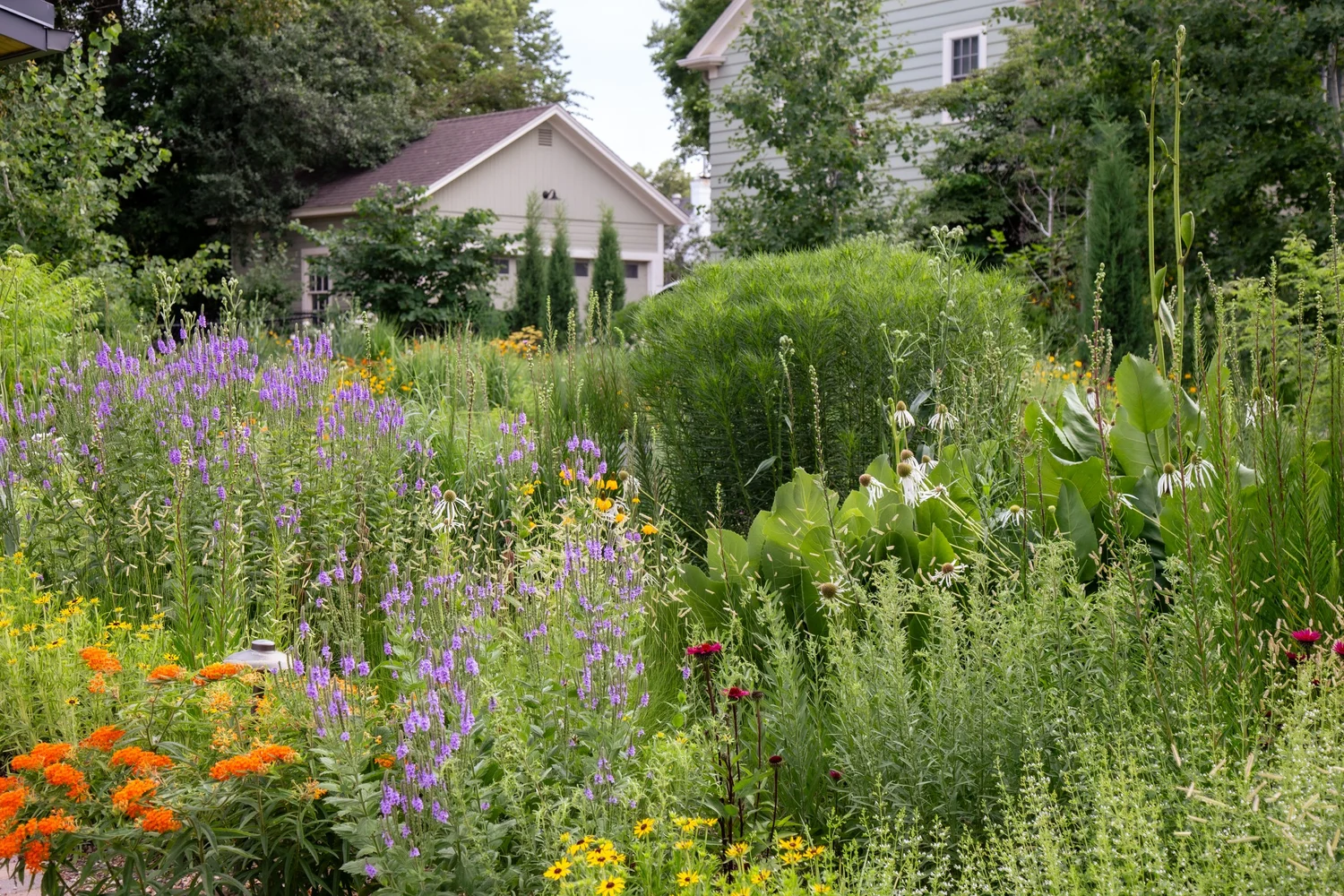 Landscaped Prairie — Kelly D. Norris