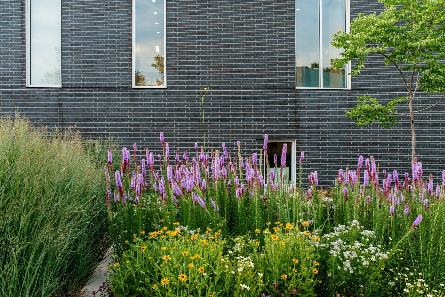 Harkin Institute — Kelly D. Norris