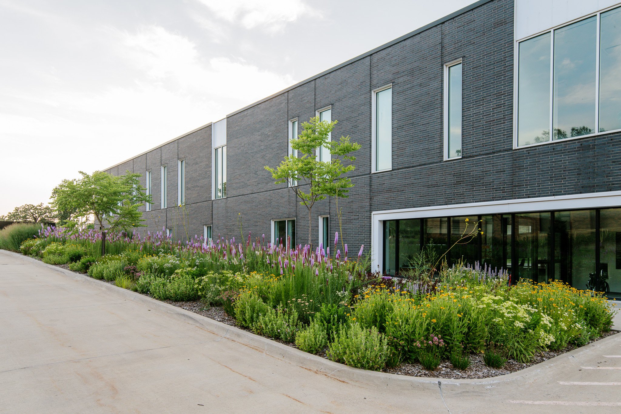 Harkin Institute — Kelly D. Norris