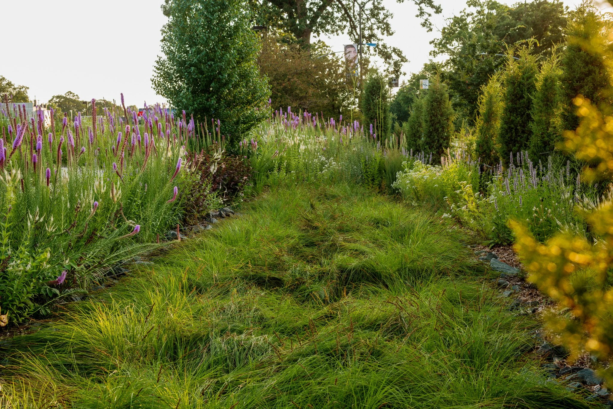 Harkin Institute — Kelly D. Norris