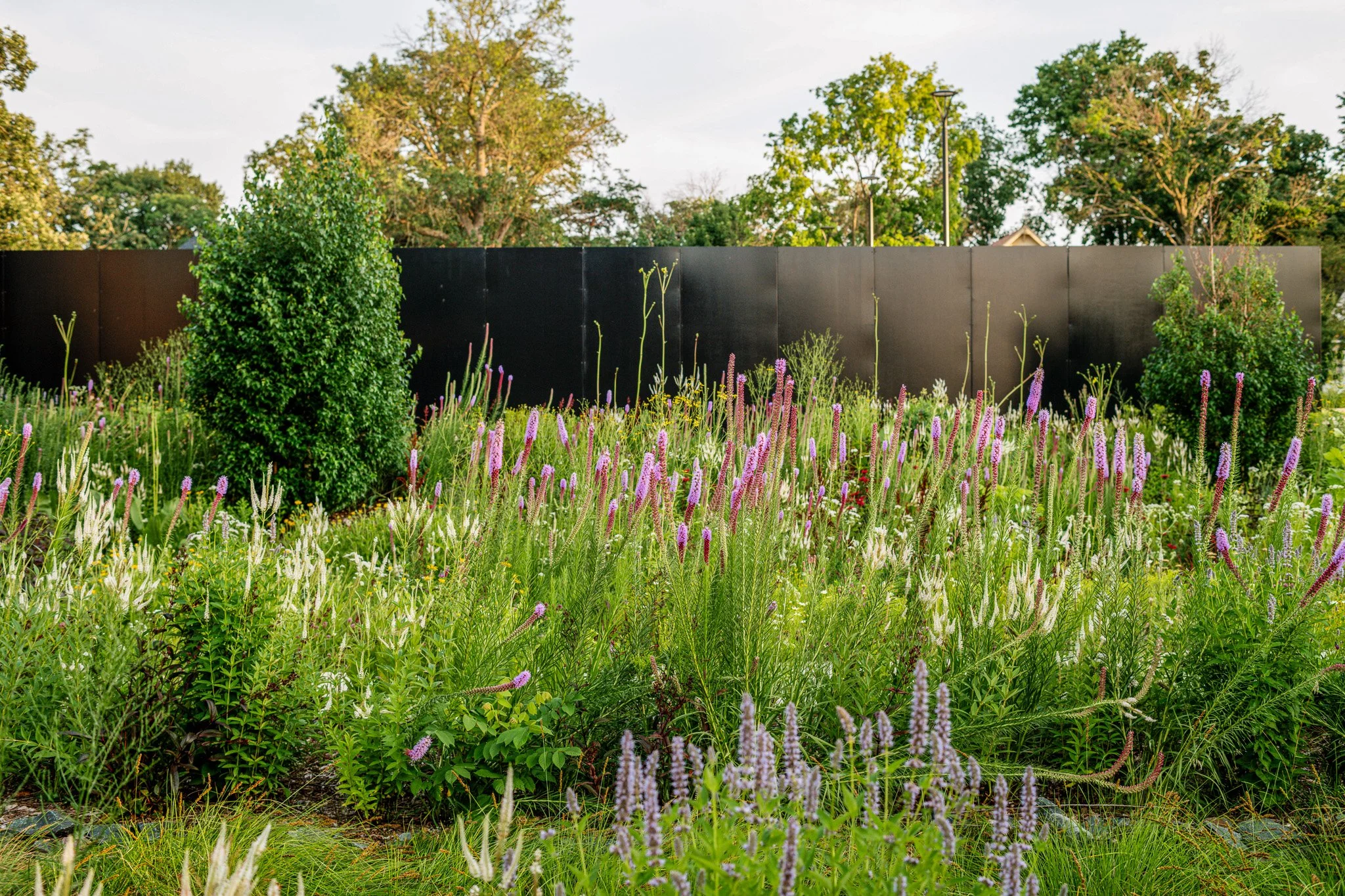 Harkin Institute — Kelly D. Norris