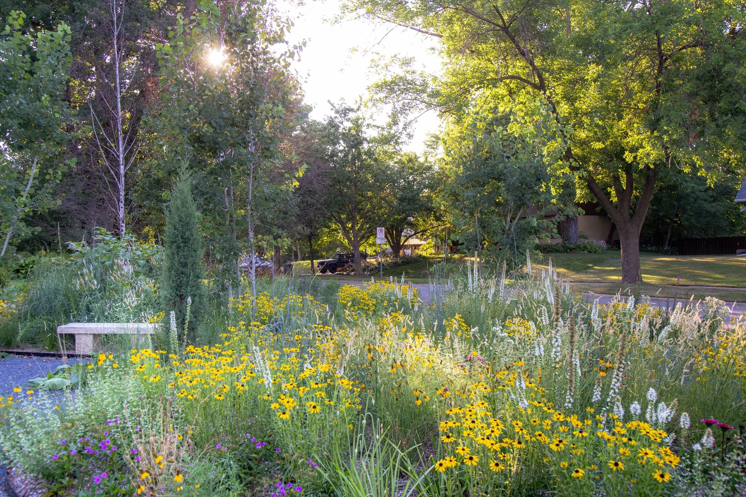 Landscaped Prairie — Kelly D. Norris