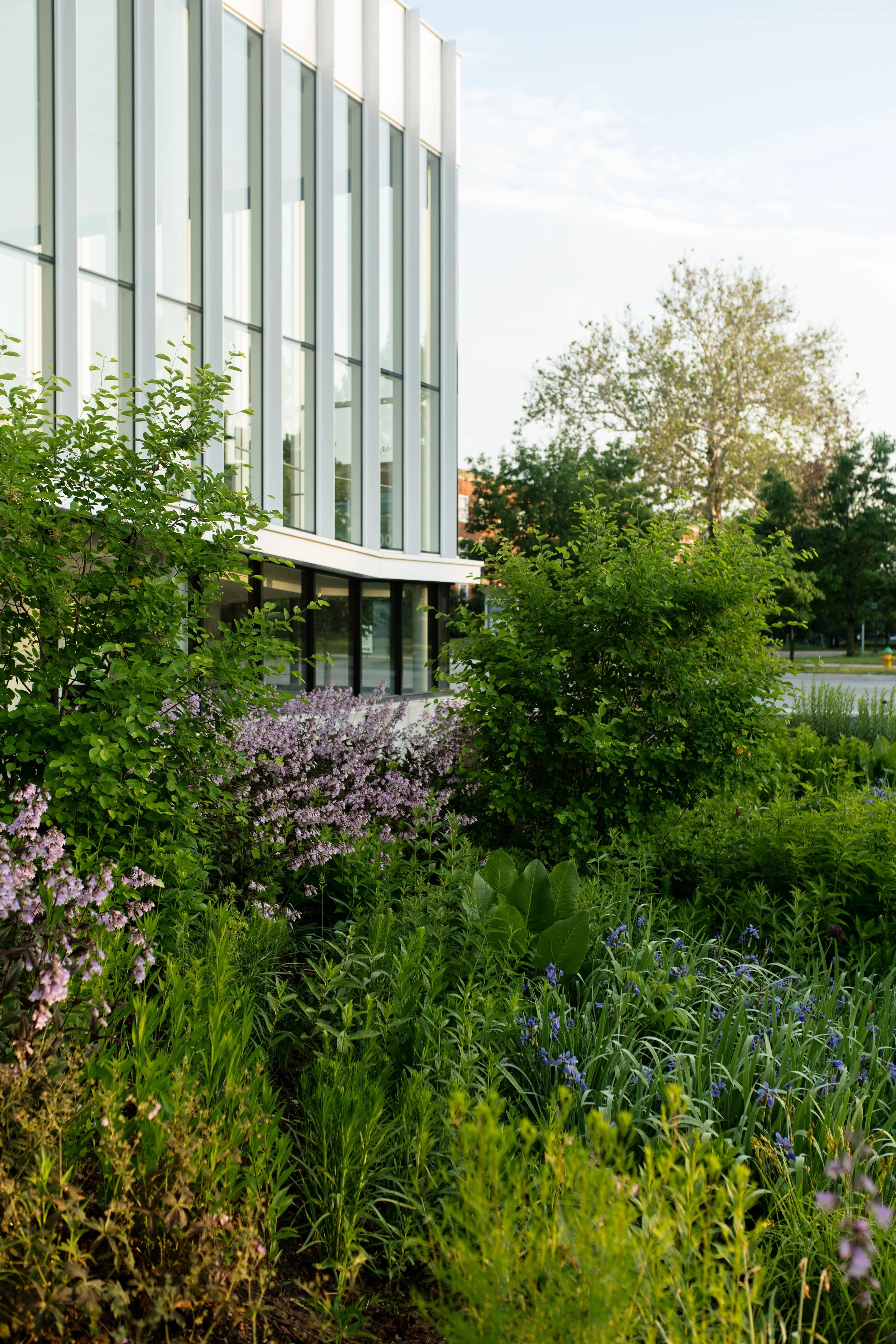 Harkin Institute — Kelly D. Norris