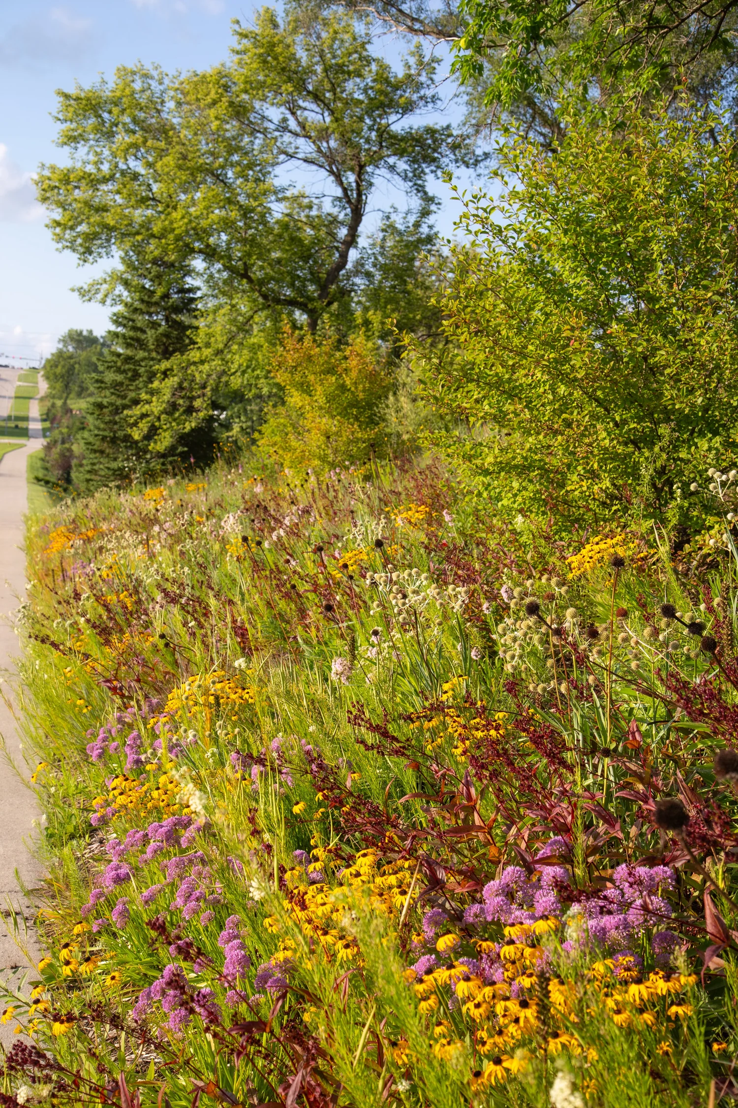 Roadside Meadow — Kelly D. Norris