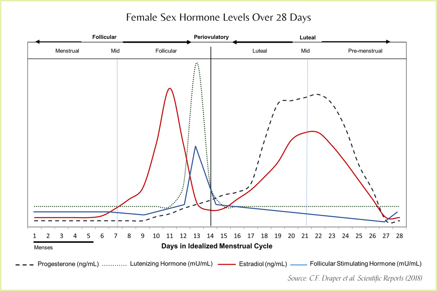 A Brief Guide To The Menstrual Cycle — Sister Seasons | Cycle awareness ...