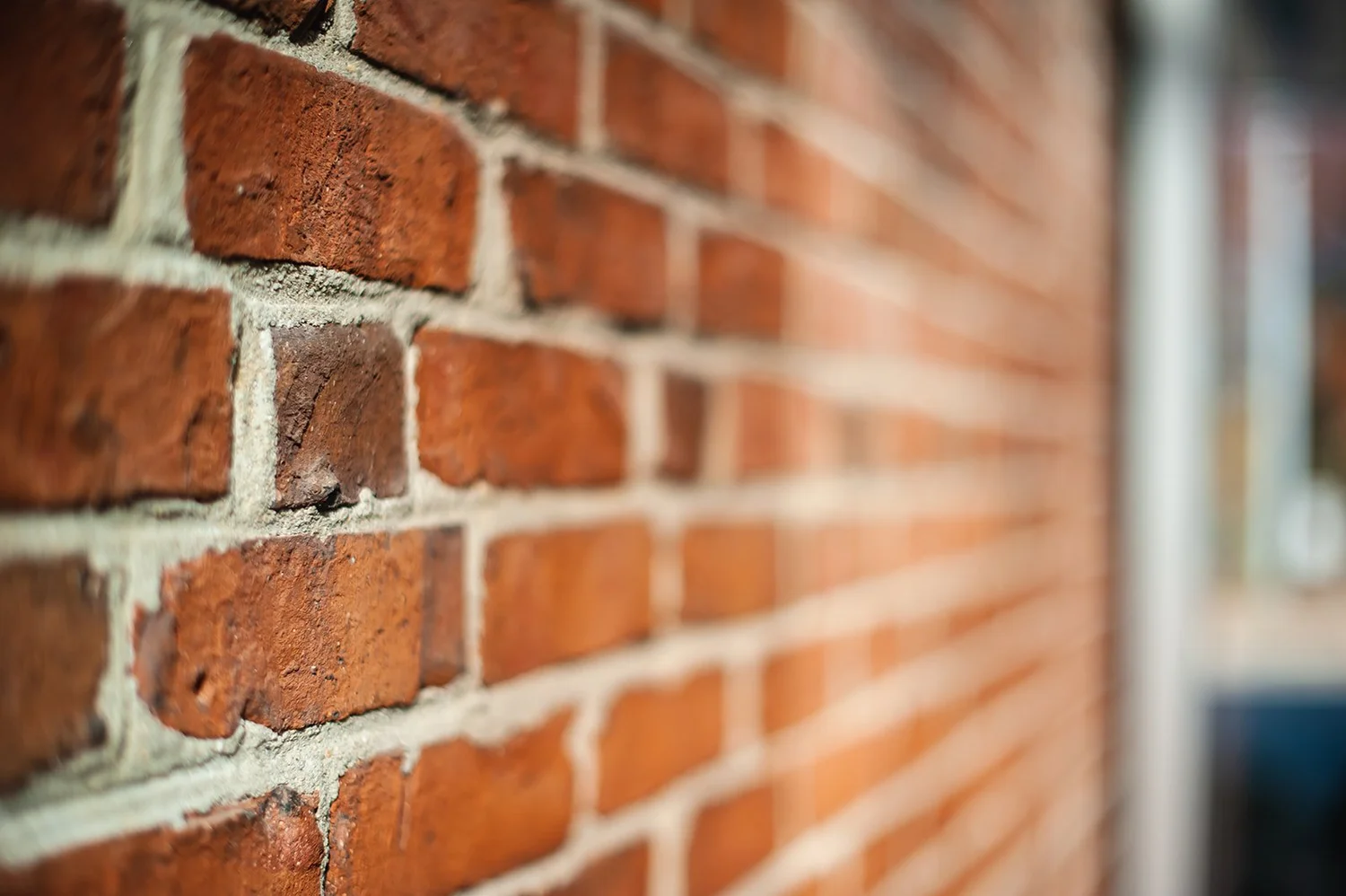 Behind the Logo — Hasenbank Accounting Services