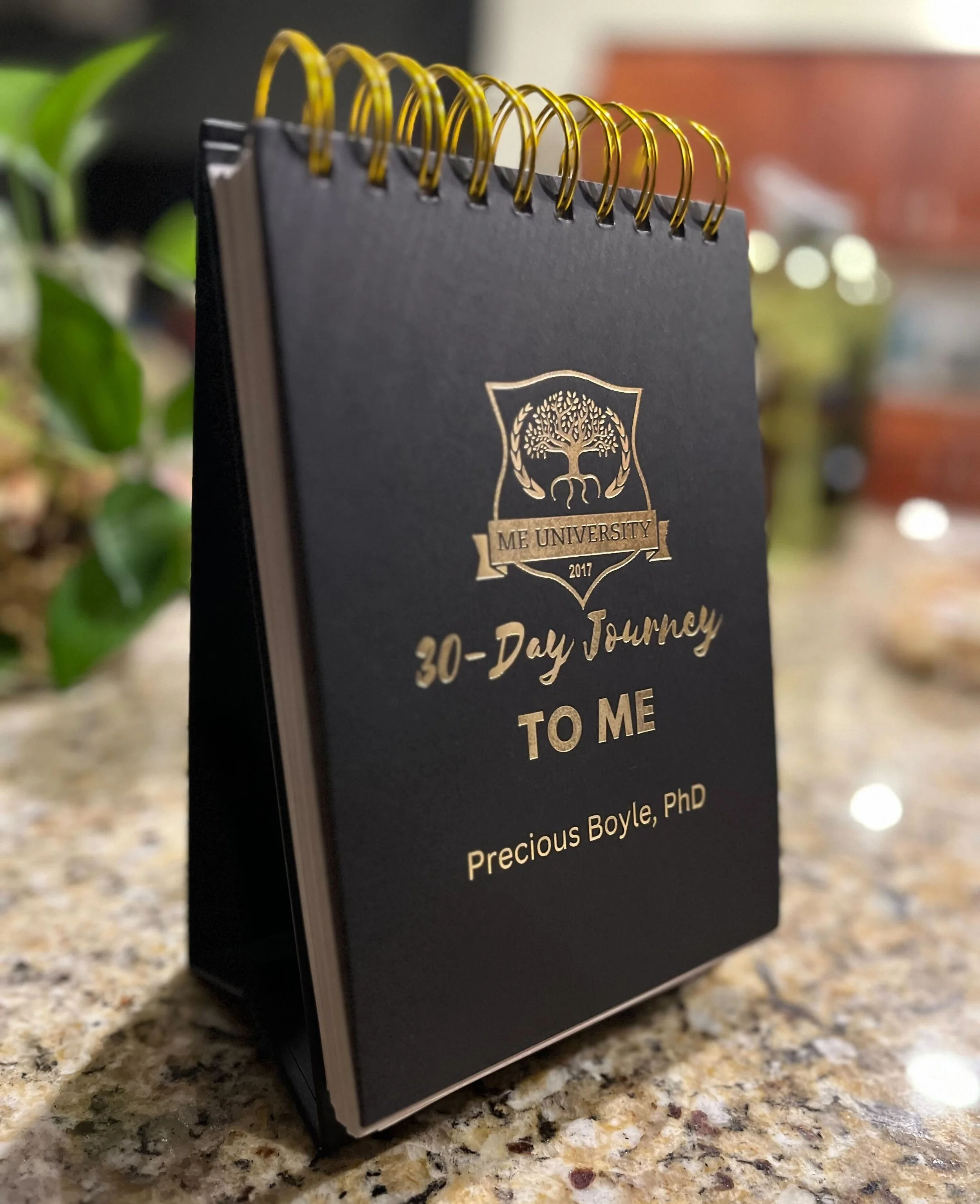 30 Day Journey to Me — Silent Rock Educational Services
