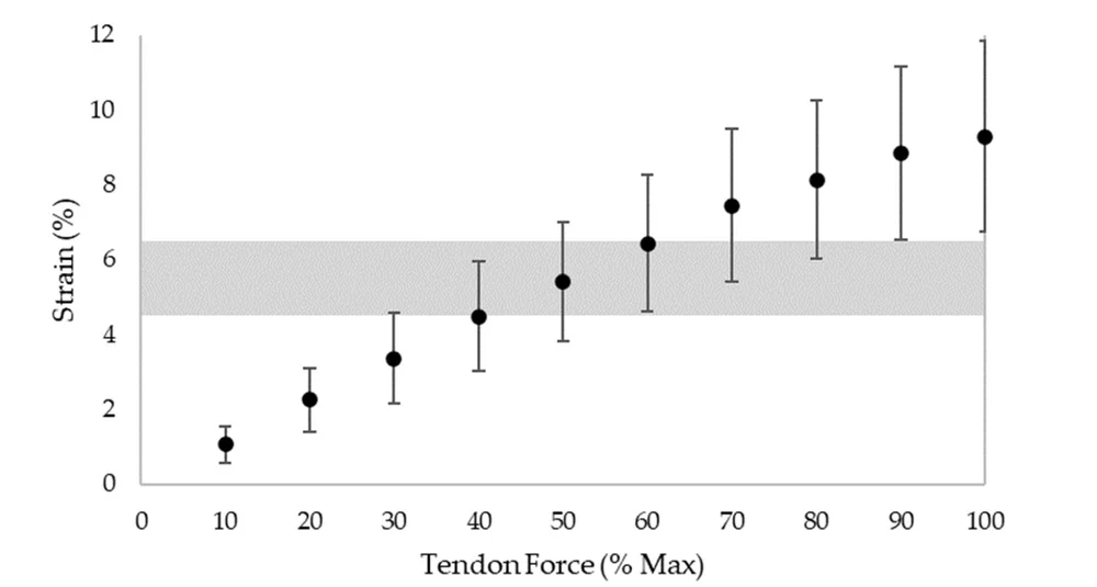 ACHILLES TENDINOPATHY: HOW TO LOAD AN OVERLOADED TENDON | Rehab Code