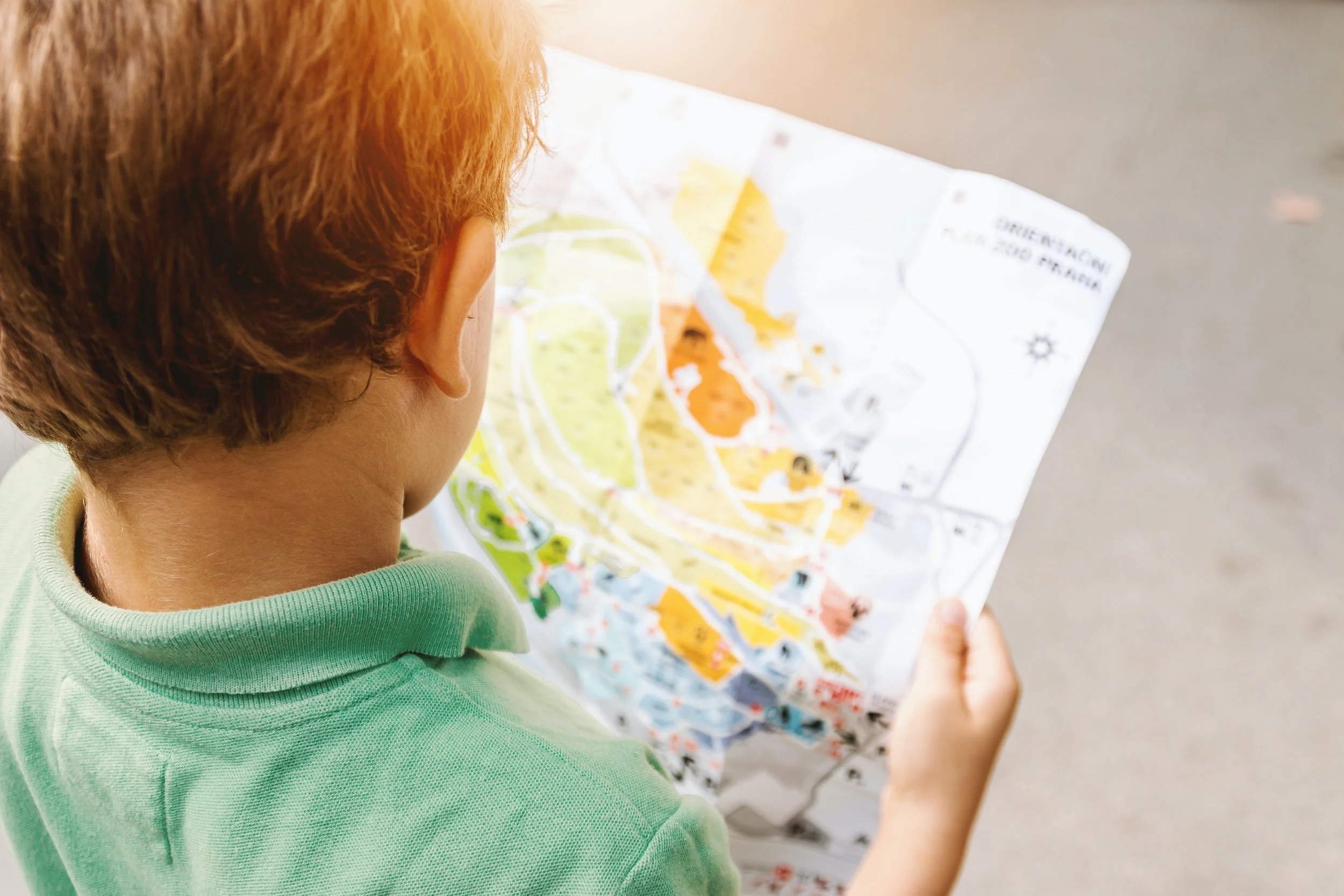 Psycho-Educational Assessments for Children and Teens — Adelaide ...